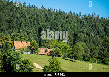 Retje village, Loski Potok, Slovenia Stock Photo - Alamy