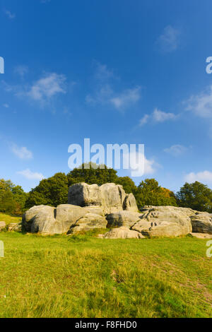 The common, Tunbridge Wells, England Stock Photo - Alamy