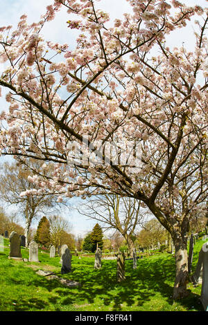 Headstones at Rock Cemetery in Nottingham, Nottinghamshire England UK ...