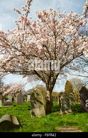 Headstones at Rock Cemetery in Nottingham, Nottinghamshire England UK ...