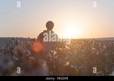 Mari man standing in field with motorcycle Stock Photo - Alamy