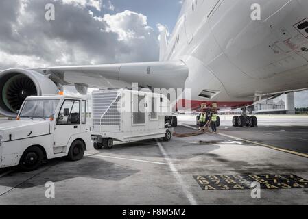 Ground crew operating loading equipment on A380 aircraft Stock Photo ...
