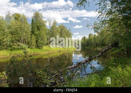 beautiful landscapes of the wild nature of the Yamal Peninsula, Russia ...