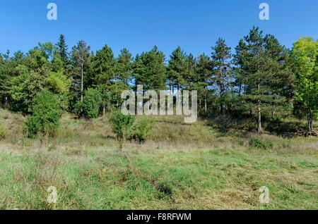 Landscape of park by Beli Lom river at Razgrad town, Bulgaria Stock ...