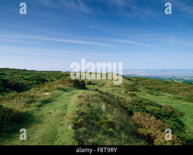 Inner rampart with outer ditch & counterscarp bank of Moel y Gaer ...