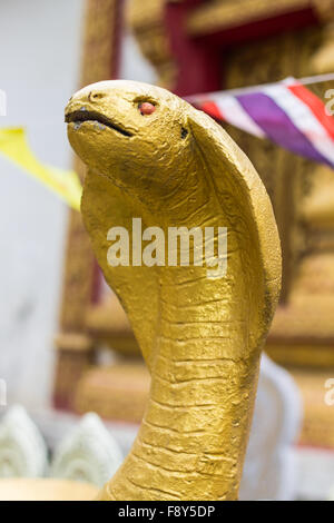 Angkor Wat Temple, Head of Snake, Siem Reap Province, Angkor's Temple ...