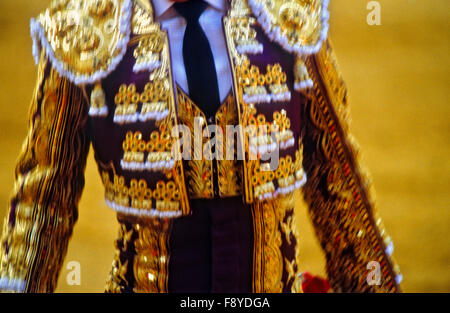Detail of the "traje de luces" or bullfighter dress, Spain Stock Photo ...