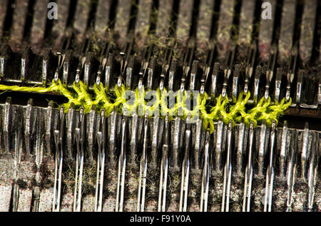 Thread machine. Closeup Stock Photo - Alamy