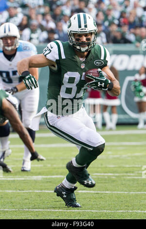 Tennessee Titans wide receiver Eric Decker (87) during the second half ...