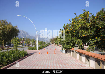 Street of City of Kemer, famous mediterranean resort, Antalya province ...