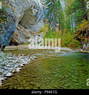 early autumn along the middle fork judith river near utica, montana ...