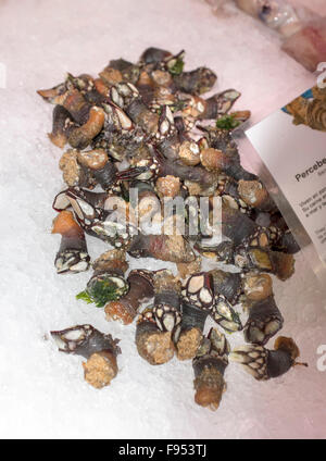 Percebes or Goose Barnacles on sale at Ribera market in Bilbao Stock ...