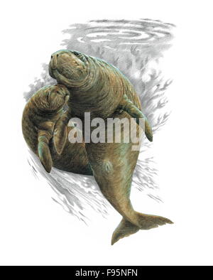 Steller's Sea Cow (Hydrodamalis gigas) extinct species, illustration ...