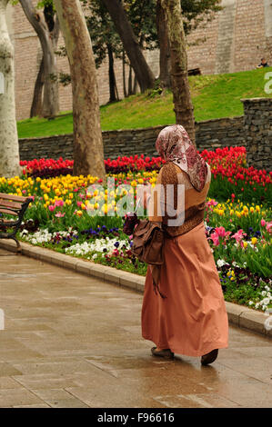 Blooming colorful tulip flowers in garden as floral background Stock ...