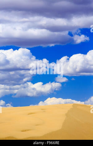 The Great Sandhills, near Sceptre, Saskatchewan, Canada Stock Photo - Alamy