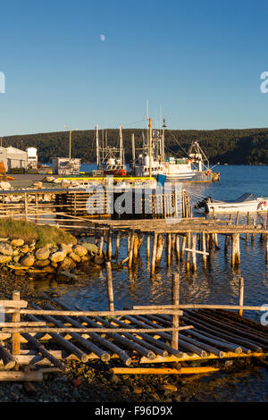 Fishing boats tied up at the wharf in Old Perlican, Newfoundland and ...