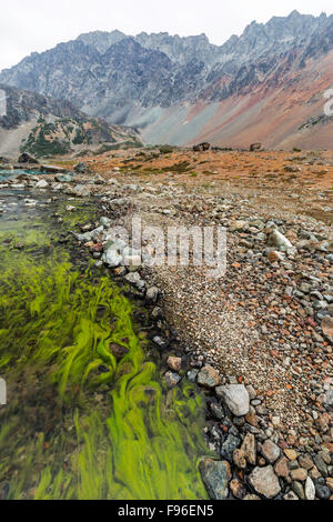 Canada, British Columbia, alpine stream, Niut Range, Coast Mountains ...