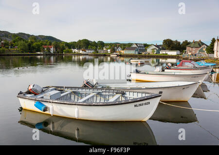 Newfoundland fishing boat or dory Stock Photo - Alamy