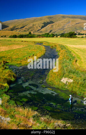 Southland Spring Creek, New Zealand Stock Photo - Alamy