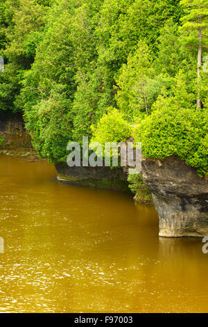 The Elora Gorge Stock Photo - Alamy