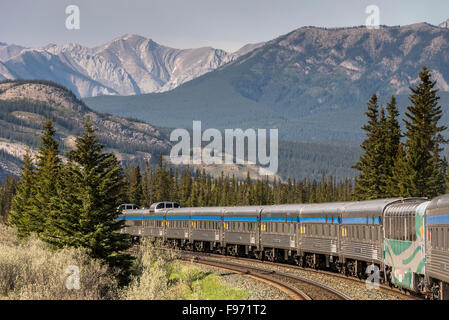 Train going through Jasper National Park Stock Photo - Alamy