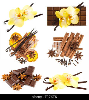Vanilla sticks and flower on white background Stock Photo - Alamy