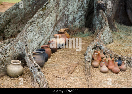 The Nakayima tree is an active shrine, Mubende Hill, Uganda Stock Photo ...