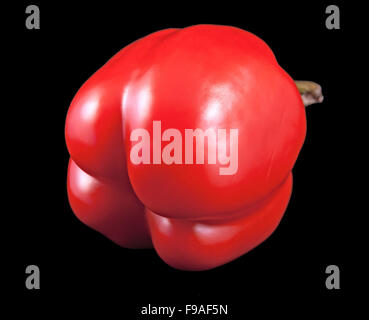 One sweet red bell pepper on black wooden table. Close up. Dark ...
