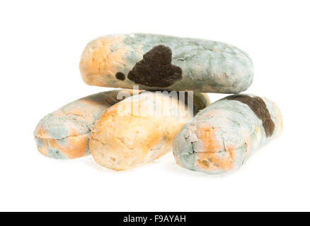 Old musty bread covered with green mold Stock Photo - Alamy