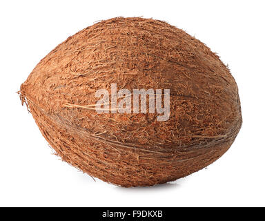 Single coconut isolated on white Stock Photo - Alamy