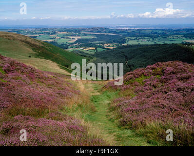 Moel Arthur Iron age hill fort Clwydian Hills Stock Photo - Alamy