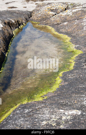 Rock Pool, Derrymore Bay Beach; Waterville; County Kerry; Ireland Stock ...