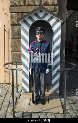 uniformed czech republic military soldier on guard at Saint Vitus ...