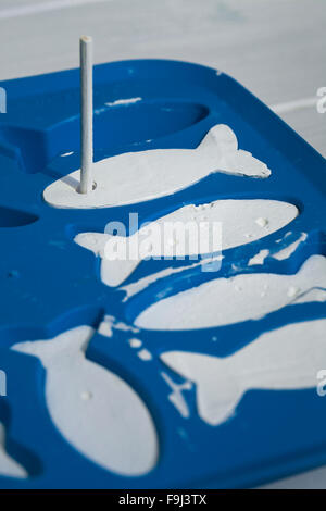 step by step made gypsum fish Stock Photo - Alamy