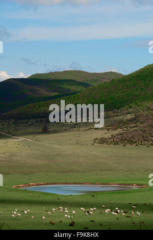 Meteor Crater is a meteorite impact crater. The site was formerly known ...