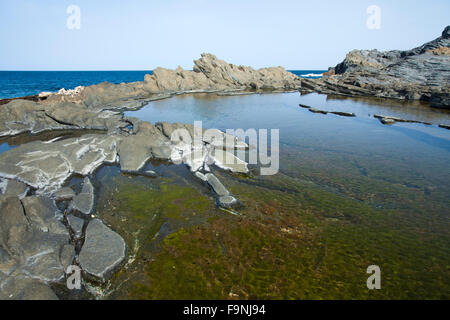 Gran Canaria, Banaderos area, calm rock pools, ocean at low tide Stock ...