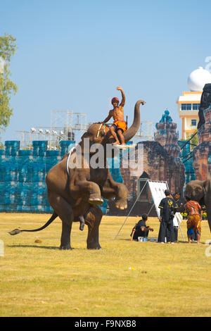 Mahout trainer standing on elephant head as it's rearing up, standing ...