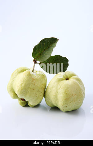 green quava with leaf on the white background Stock Photo - Alamy