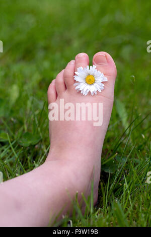 feet with flowers between the toes Stock Photo - Alamy
