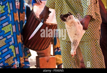 Sacrificial chicken at Ewe Tron vodun (voodoo) ceremony, Lome, Togo ...