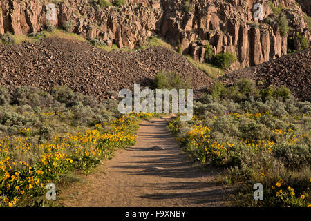 Columnar basalt at Steamboat Rock State Park, eastern Washington Stock ...