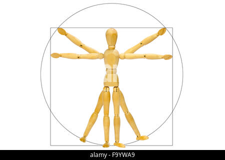 anatomy biology mannequin dummy figure in a science class or university ...