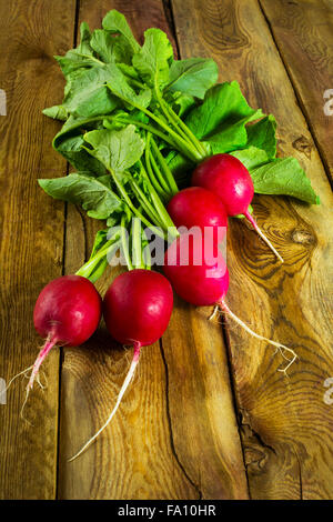 radish with root vegetables and herbs on the counter of the Saturday ...