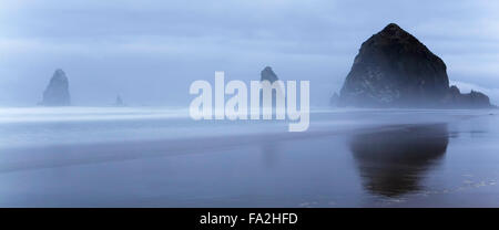 Scenery of the Haystack Rock in the morning fog at Cannon Beach, Oregon ...