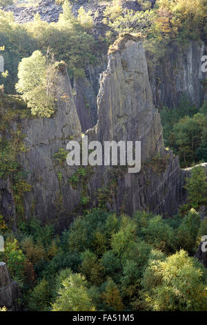The tree covered floor of Glyn Rhonwy quarry in Llanberis, Gwynedd ...