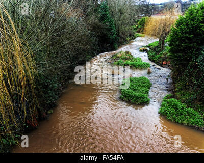 The River Frome, beside Bromyard, a town in Herefordshire, England ...