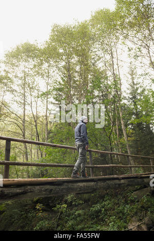 Mature hiker crossing footbridge in forest, Austrian Alps, Carinthia ...