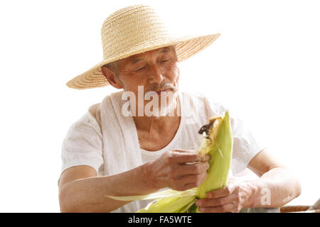 Farmers take corn Stock Photo - Alamy