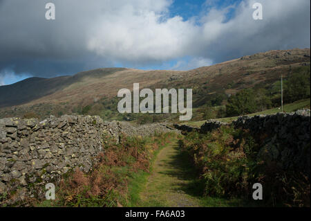 Low Lane and Kentmere Pike Stock Photo - Alamy
