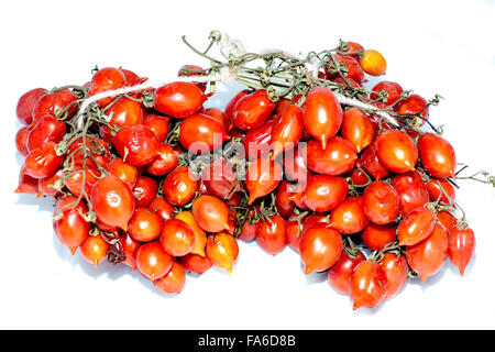 Tomatoes of Vesuvius joint in Piennolo, Naples Stock Photo - Alamy